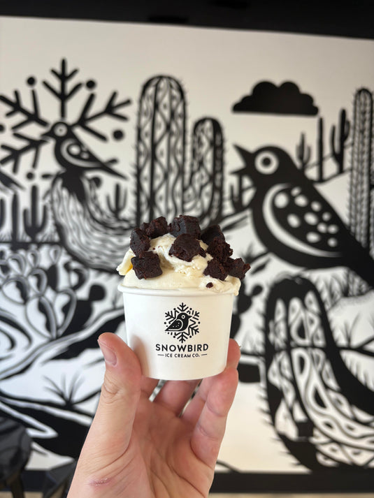 Snowbird Ice Cream Co.